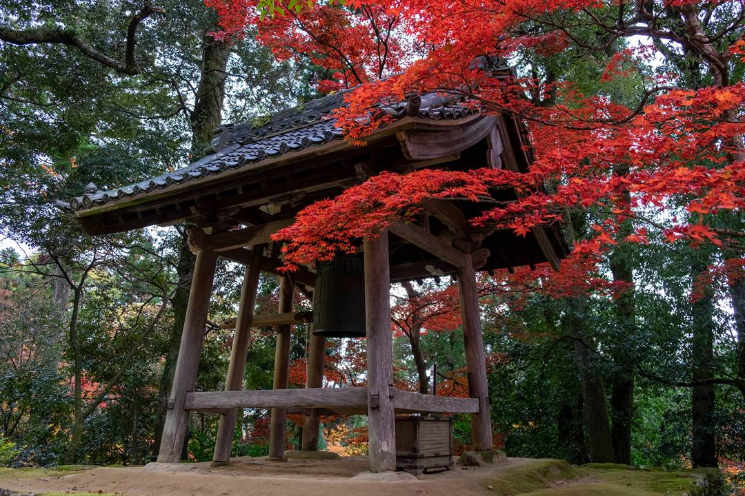 Saimyō-ji Temple - Visit Omi