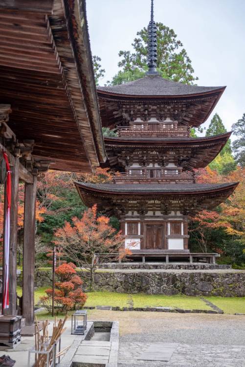 Saimyō-ji Temple - Visit Omi