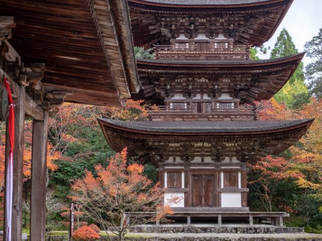 Saimyō-ji Temple - Visit Omi