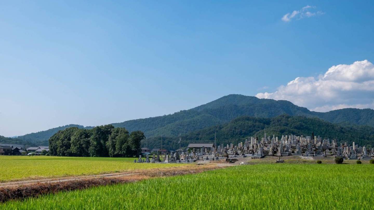Odani Castle Site - Visit Omi